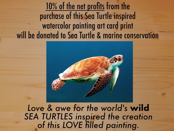 Valentine Turtle Art