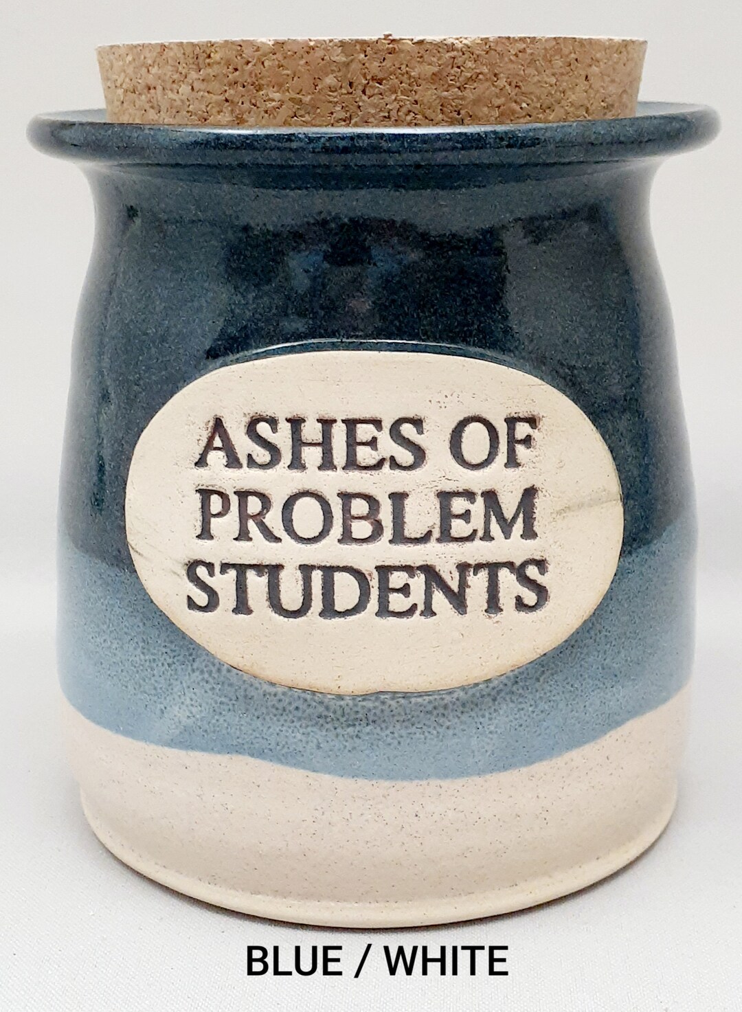 PROBLEM STUDENTS ASHES Jar, Teacher Gift, Counselor Gift, Desk Candy ...