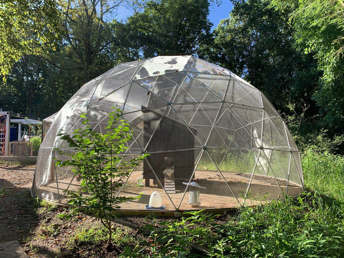 28 Ft Geodesic Dome Outdoor Aviary, Flight Cage, Animal Pen - Etsy