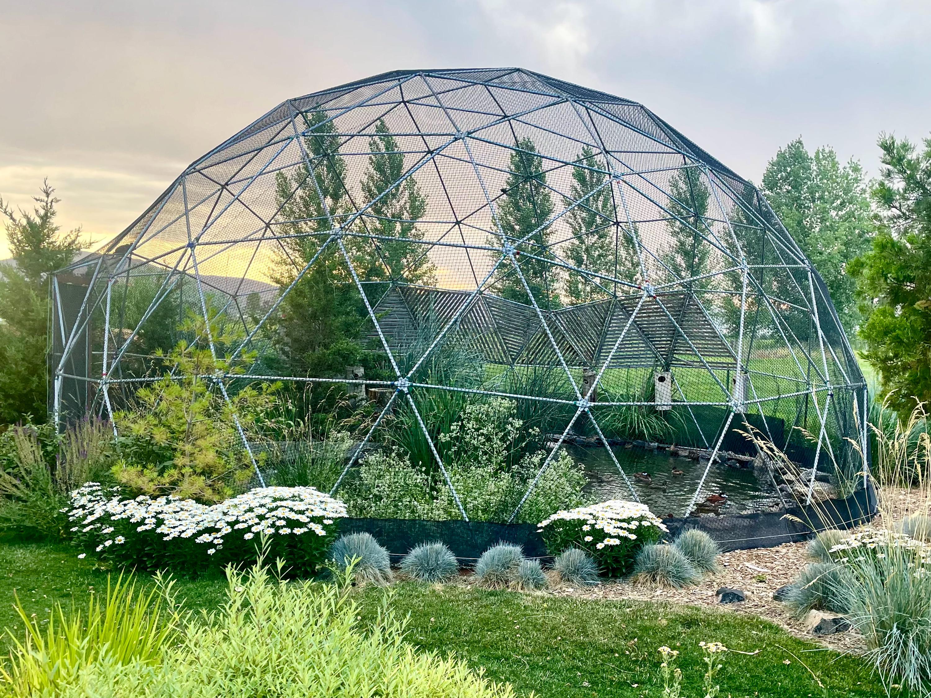28 Ft Geodesic Dome Outdoor Aviary, Flight Cage, Animal Pen - Etsy