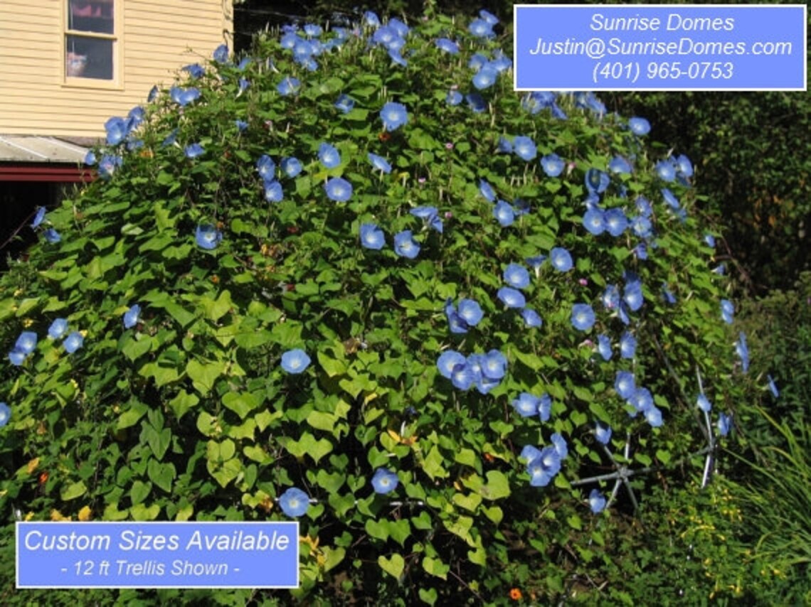16 Ft Geodesic Dome Garden Trellis, Over 9 Ft High, Complete Kit - Etsy