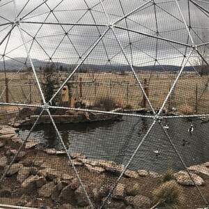 28 Ft Geodesic Dome Outdoor Aviary, Flight Cage, Animal Pen - Etsy