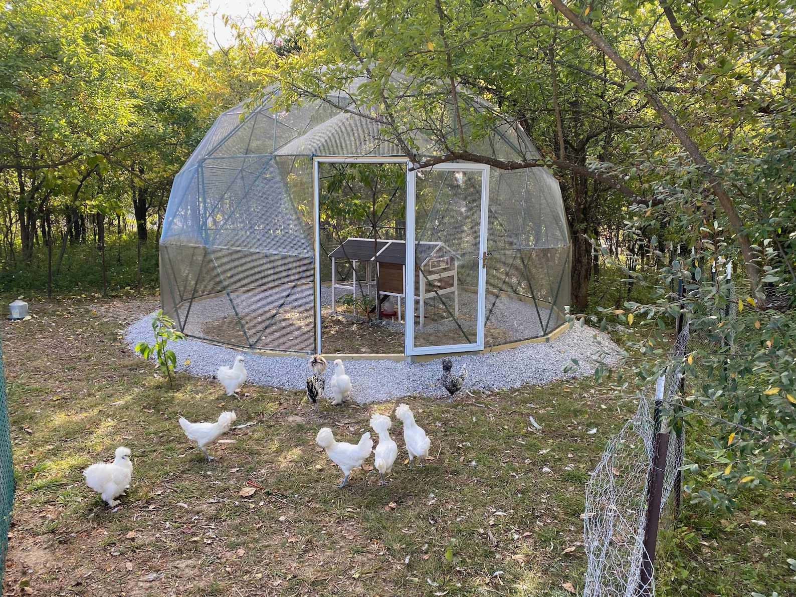20 Ft Geodesic Dome Outdoor Aviary, Flight Cage, Animal Pen - Etsy Canada