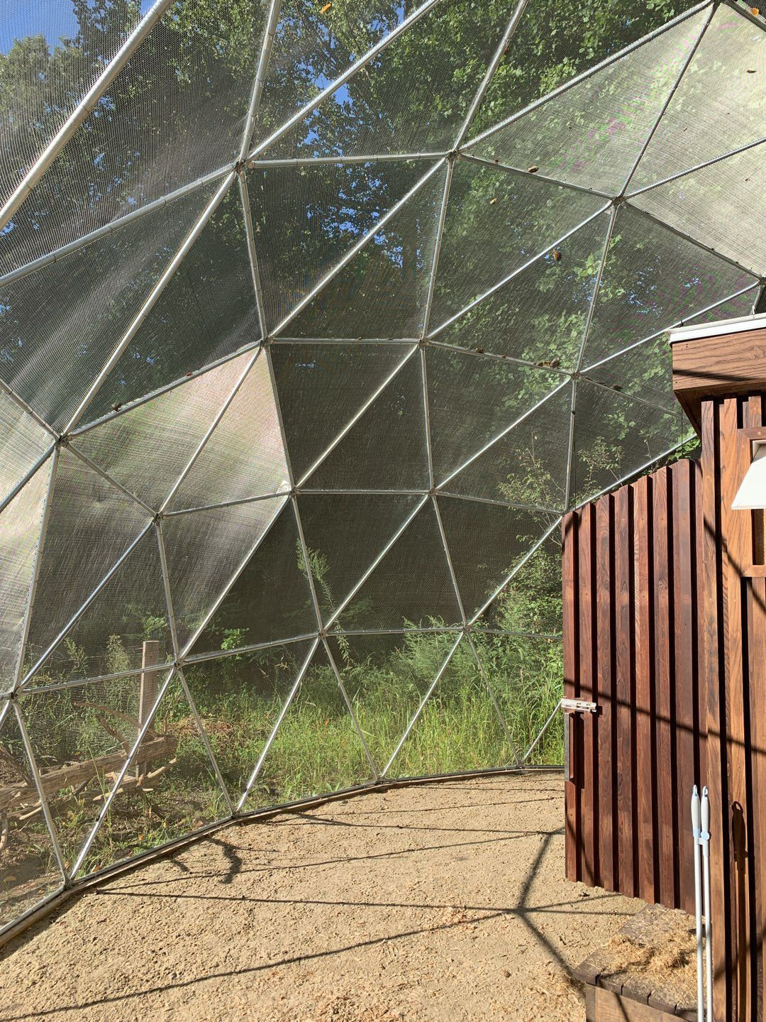 28 Ft Geodesic Dome Outdoor Aviary Flight Cage Animal Pen - Etsy UK