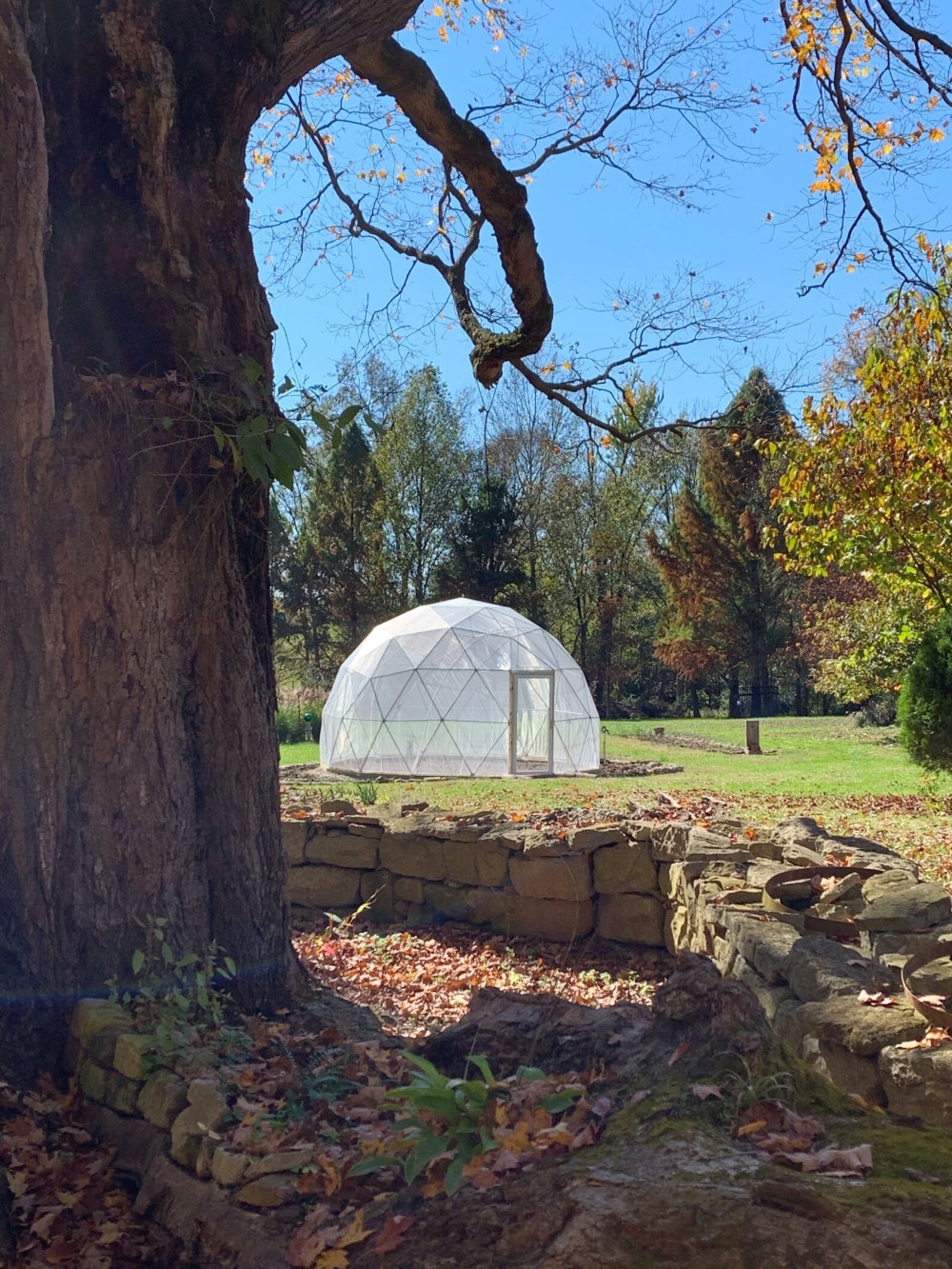 20 Ft Diameter Screen Dome - Etsy