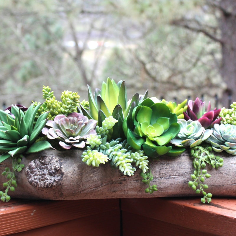 Succulent Log Planter - Etsy