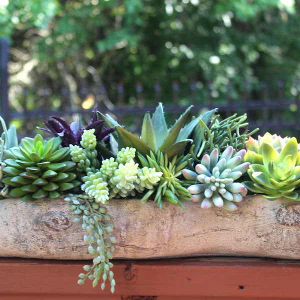 Succulent Log Planter - Etsy