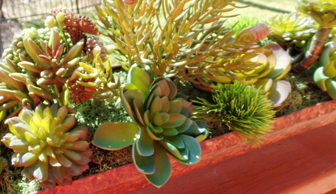 36" or 48" Long Galvanized Metal Trough With Your Choice of Artificial ...