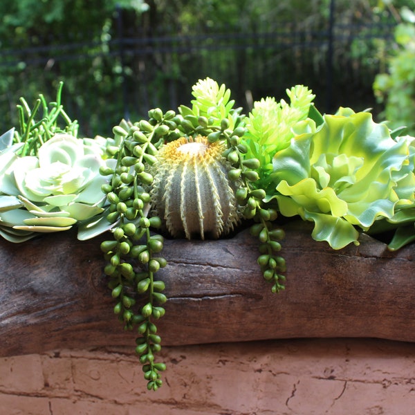 Succulent Log Planter - Etsy