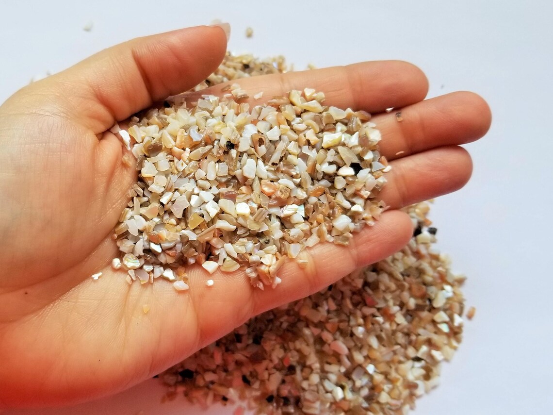 Small Freshwater Shell Pieces Tiny White Sea Shell Pieces - Etsy