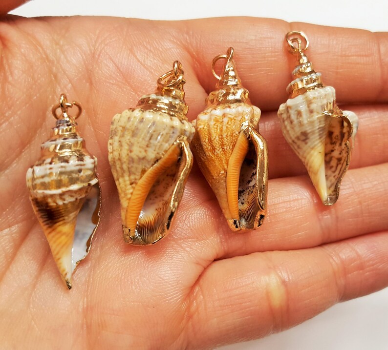 Small Gold Electroplated Conch Sea Shell Necklace Pendant - Etsy Small Gold Electroplated Conch Sea Shell Necklace Pendant - Etsy
