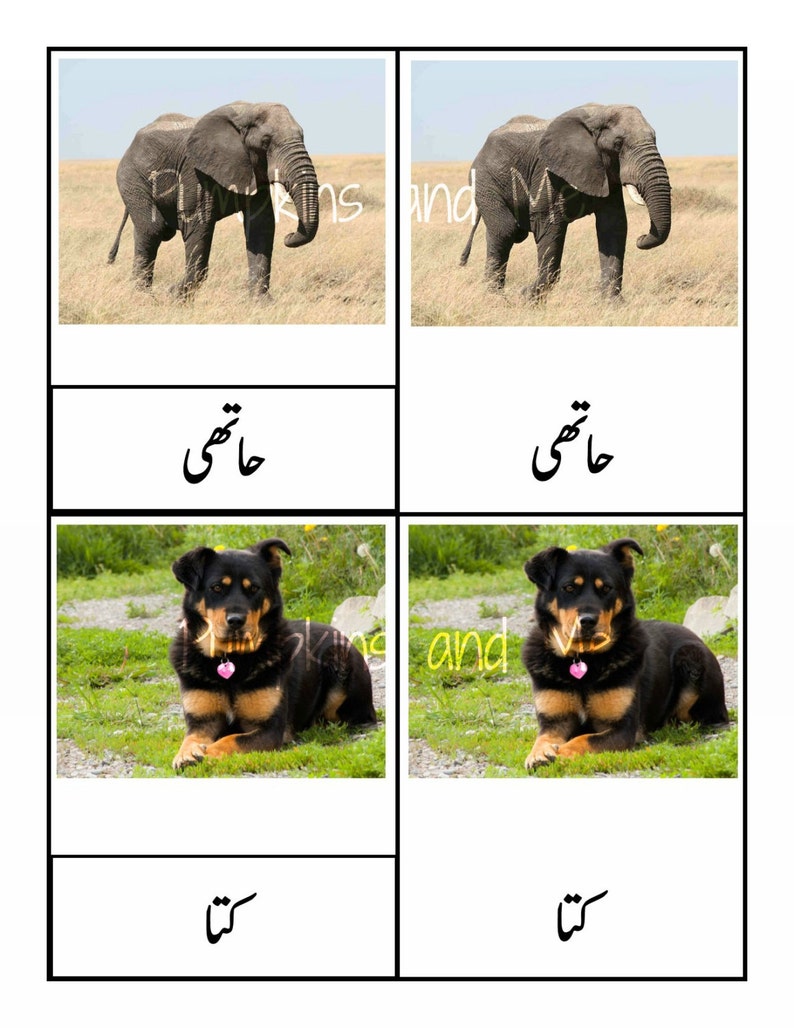 Urdu Language Learning / Homeschooling Printables / Urdu Instant ...