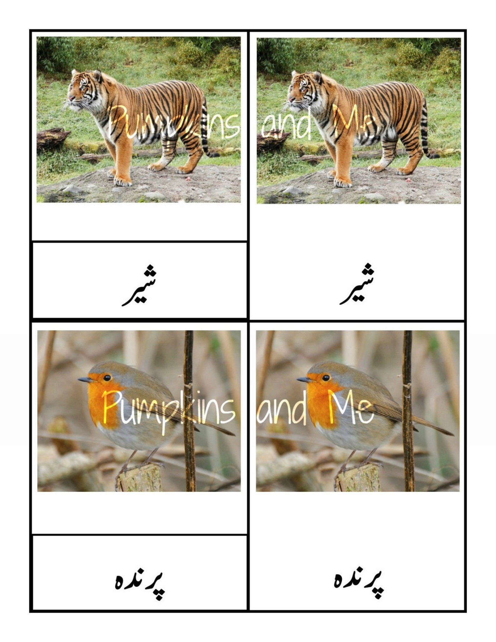 Urdu Language Learning / Homeschooling Printables / Urdu Instant ...