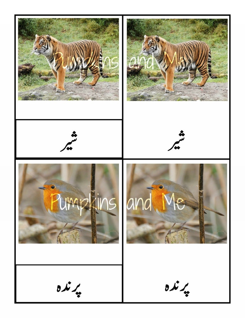 Urdu Language Learning / Homeschooling Printables / Urdu Instant ...