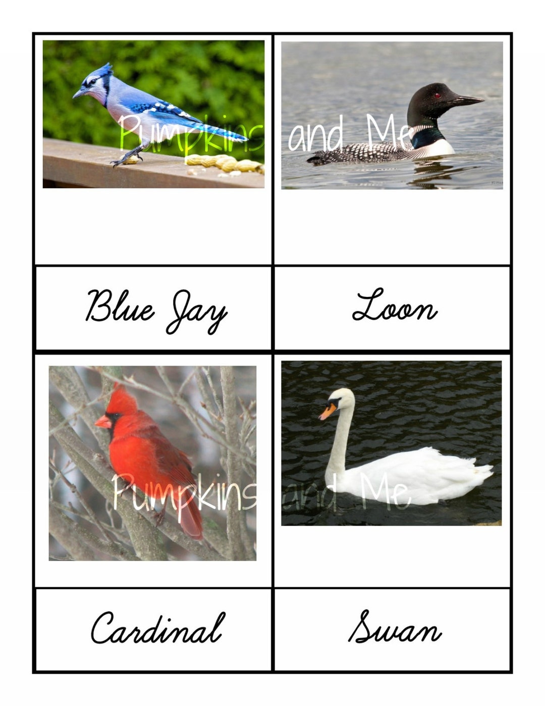 Ontario Birds North America / Montessori Printable Cards / Nomenclature ...