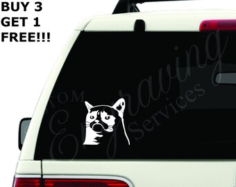 Grumpy cat sticker | Etsy