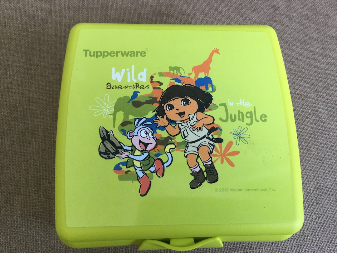 Vintage Dora the Explorer Tupperware Sandwich Container - Etsy