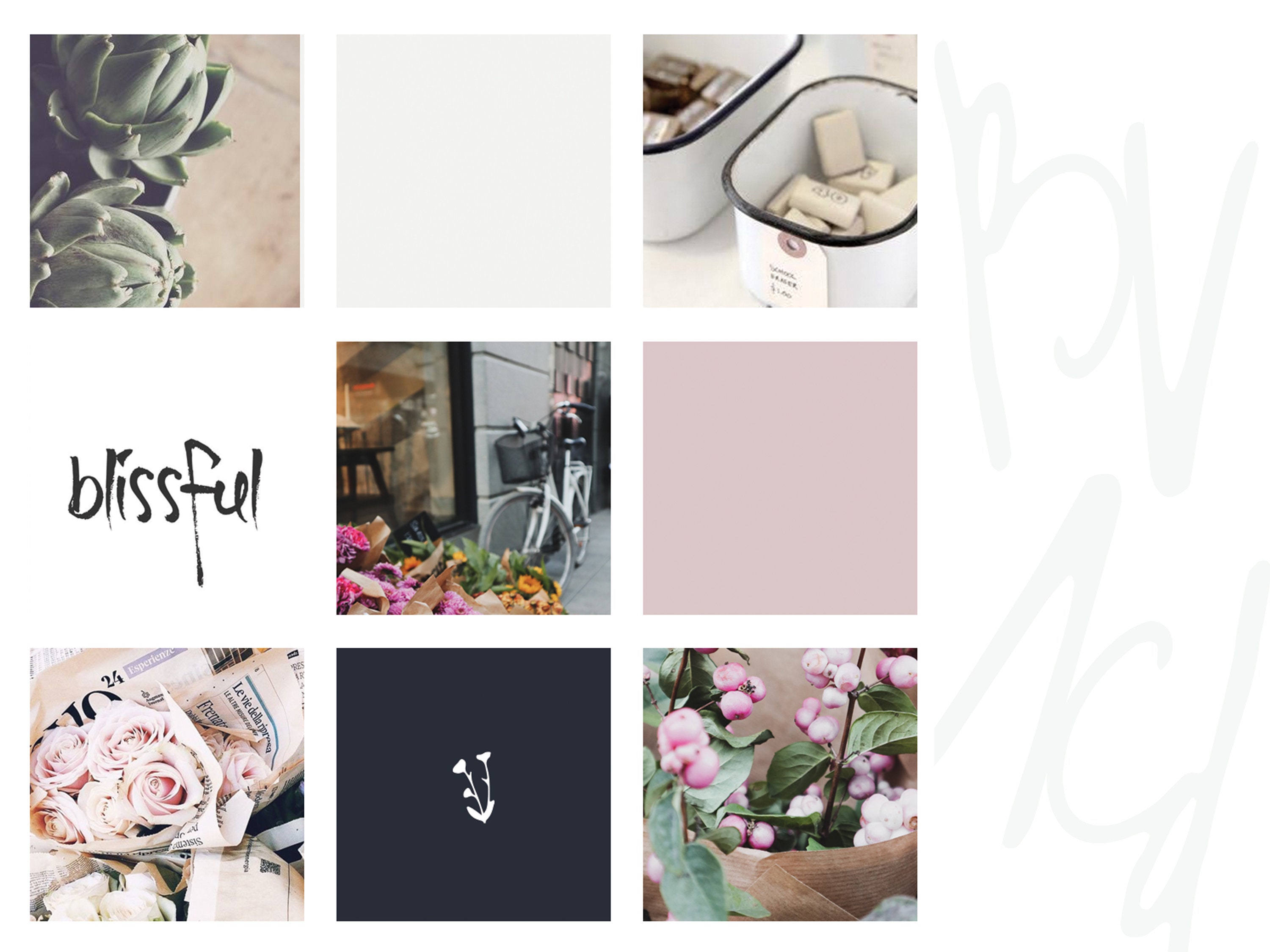 Semi Custom Brand Design Premade Logo Design Brand Identity - Etsy