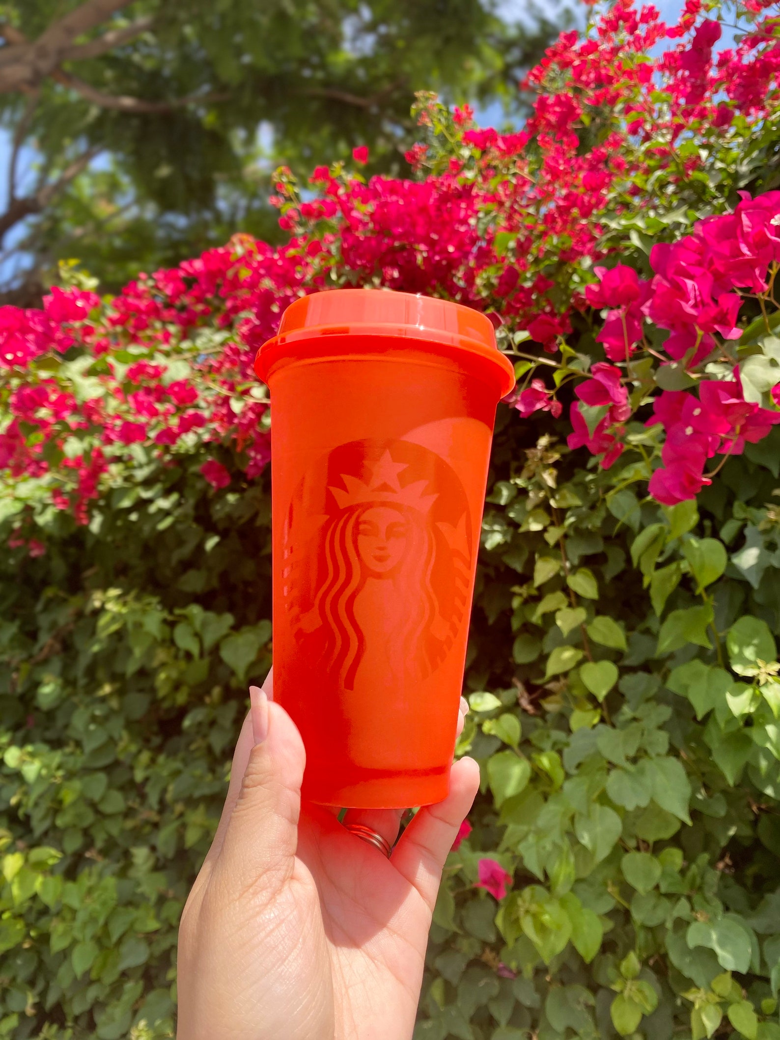 Cute Kawaii Color Summer Cup Cute Hot Cup Hot Pastel Cup - Etsy