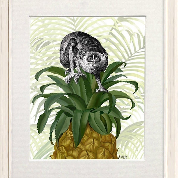 Slow Loris - Etsy