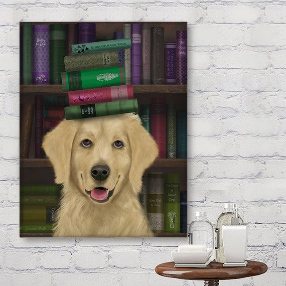 Golden Retriever Studying Golden Retriever Studying
