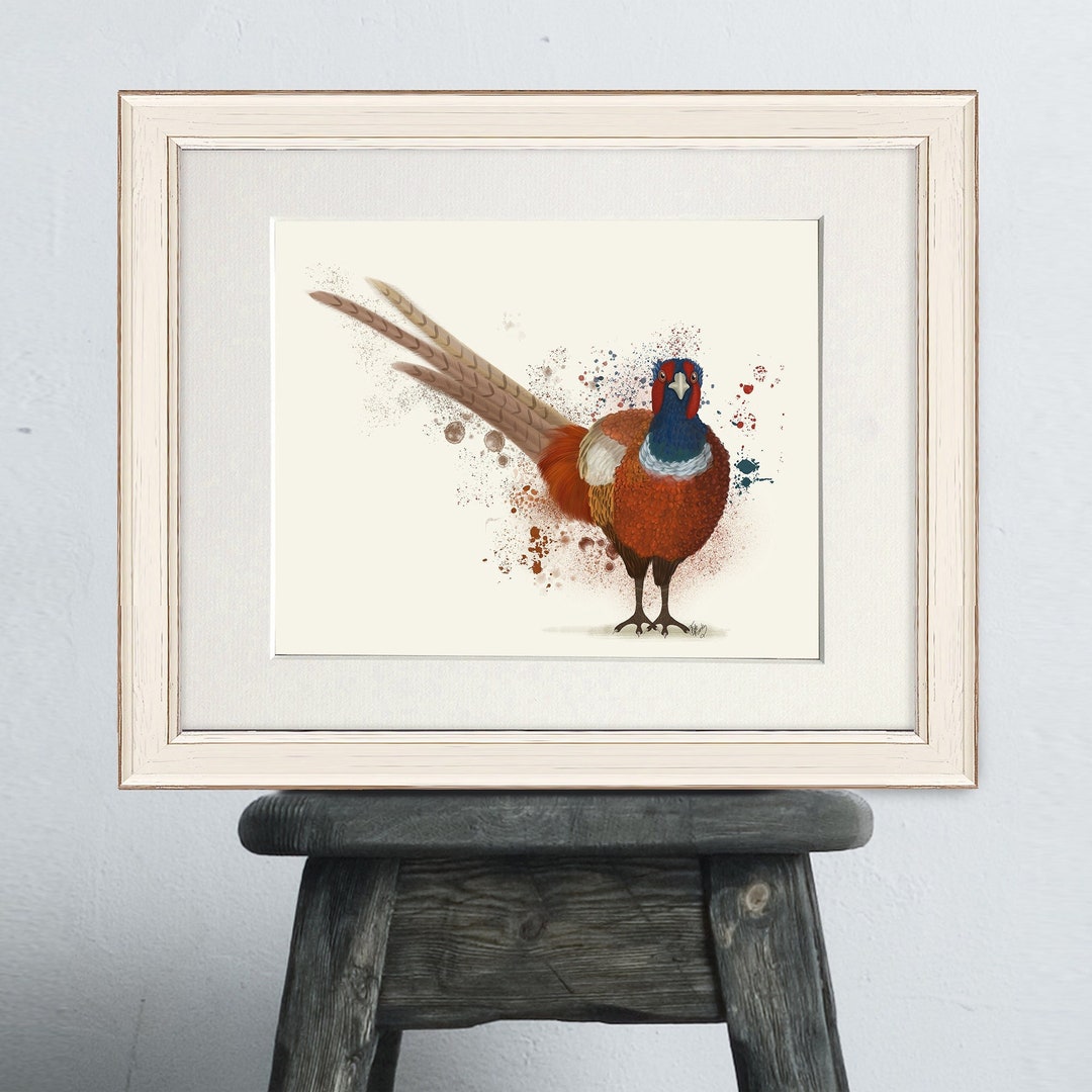 British Bird Art, Game Bird Print, Pheasant Print, Cottage Decor ...