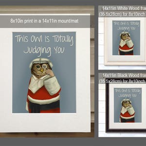 Legal Gift Owl Totally Judging You Meme Owl Judge Law School Graduation ...