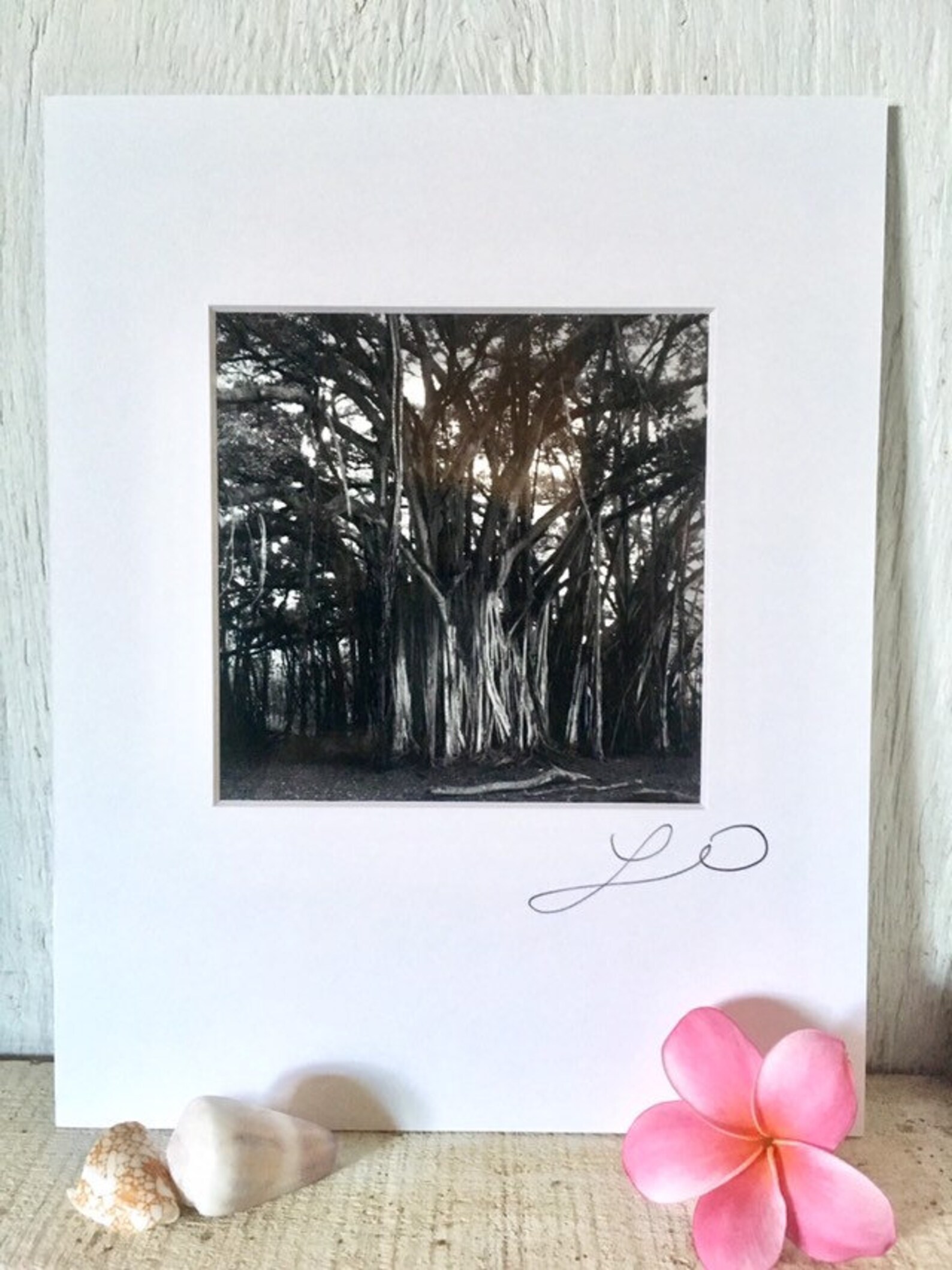 Banyan Tree Banyan Print Gift For Him Gift For Dad Metal Etsy banyan-tree-banyan-print-gift-for-him-gift-for-dad-metal-etsy