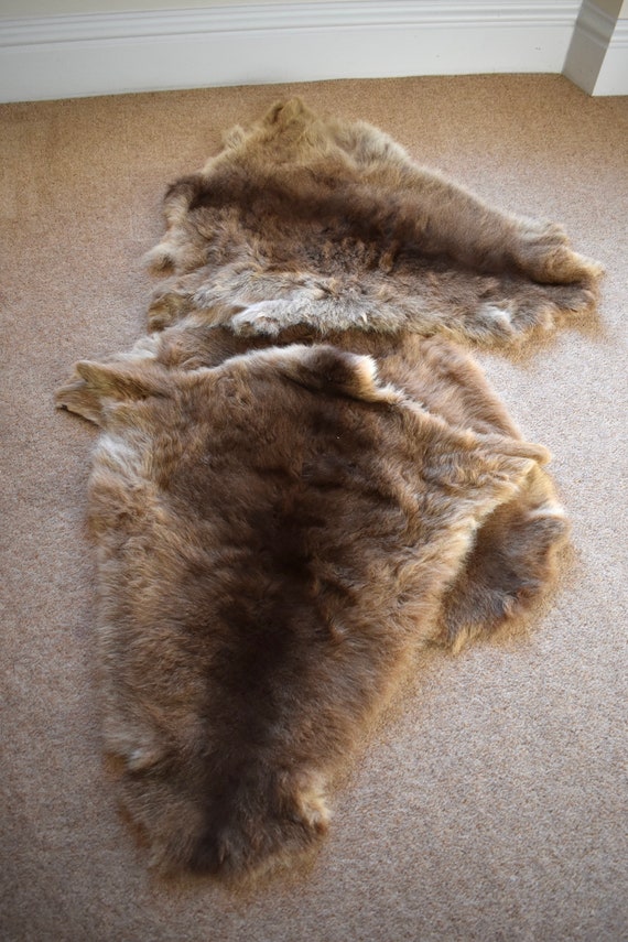 One Genuine Wallaby Pelt Skin Fur Hide Taxidermy - Etsy