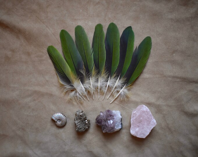 Rare Stunning Amazon Parrot Green Wing Covert Feathers - Etsy