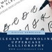 Loopy Lowercase Calligraphy Style Practice Guide Handlettering ...