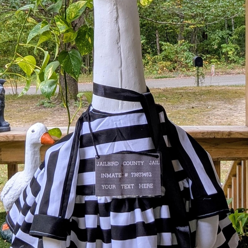 Porch Goose Custom Sign - Etsy