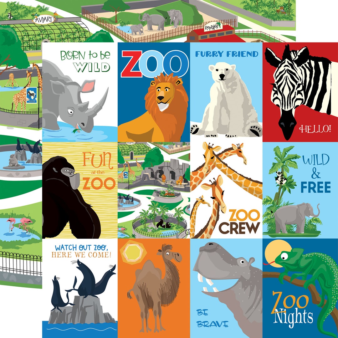 6 Assorted Sheets! Carta Bella Paper Co. ZOO Adventure Collection ...