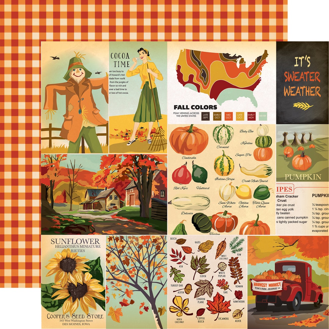 4 Assorted Sheets! Carta Bella FALL Break Collection, 12X12 Double ...