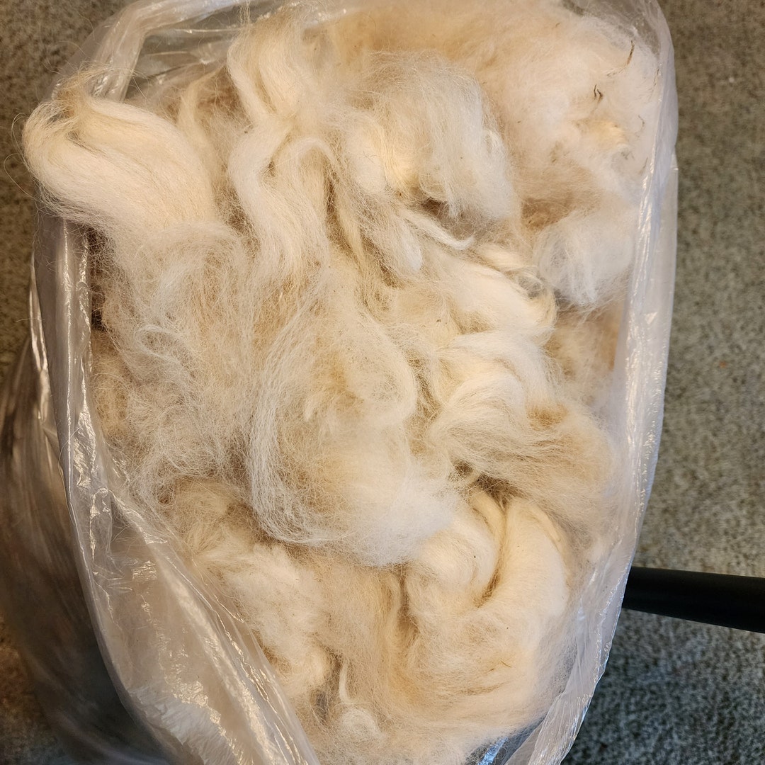 Raw Huacaya Alpaca Fleece, Cholloli's Prime Cut Blanket in White, Well ...