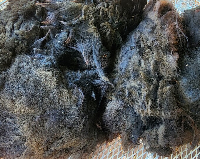 Raw Huacaya Alpaca Fleece, Mojo's Seconds in True Black, Skirted and ...