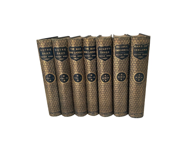 19th Century Victor Hugo Books-set of 7 Volumes - Etsy