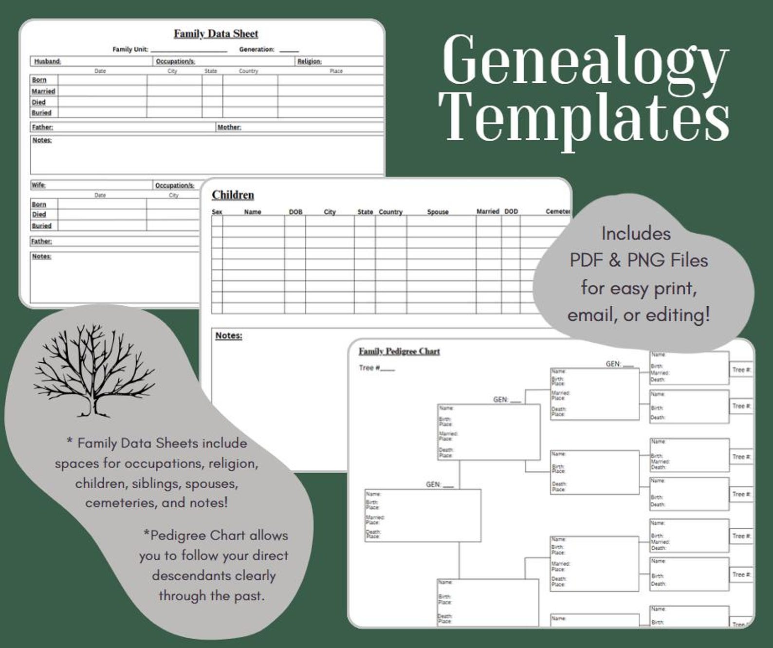 Family Tree Genealogy Data Sheet and Pedigree Templates - Etsy