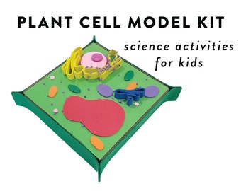 Animal Cell Model Kit, STEM Activity for Kids, DIY Homeschool Science ...