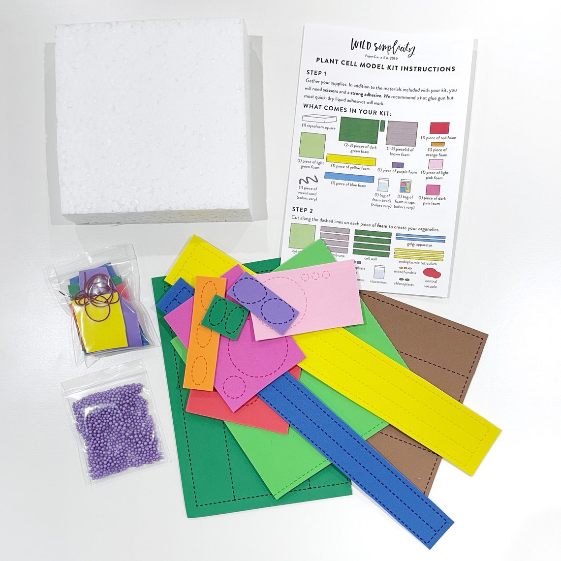 Plant Cell Model Kit, STEM Activity for Kids, DIY Homeschool Science ...