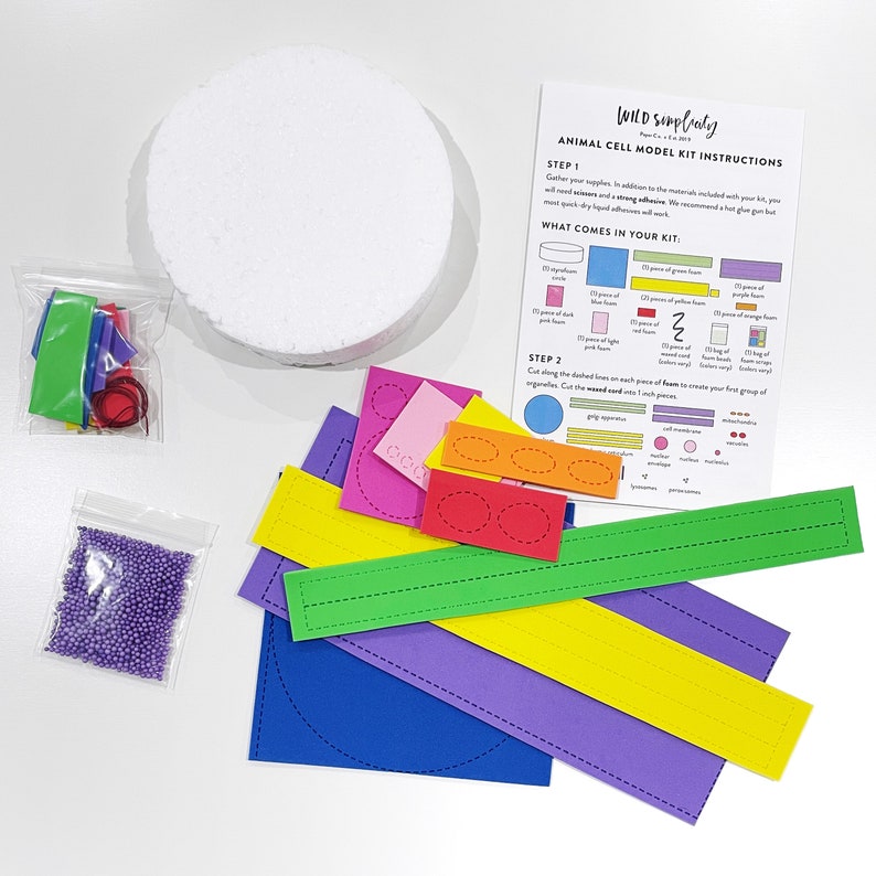 Animal Cell Model Kit, STEM Activity for Kids, DIY Homeschool Science ...
