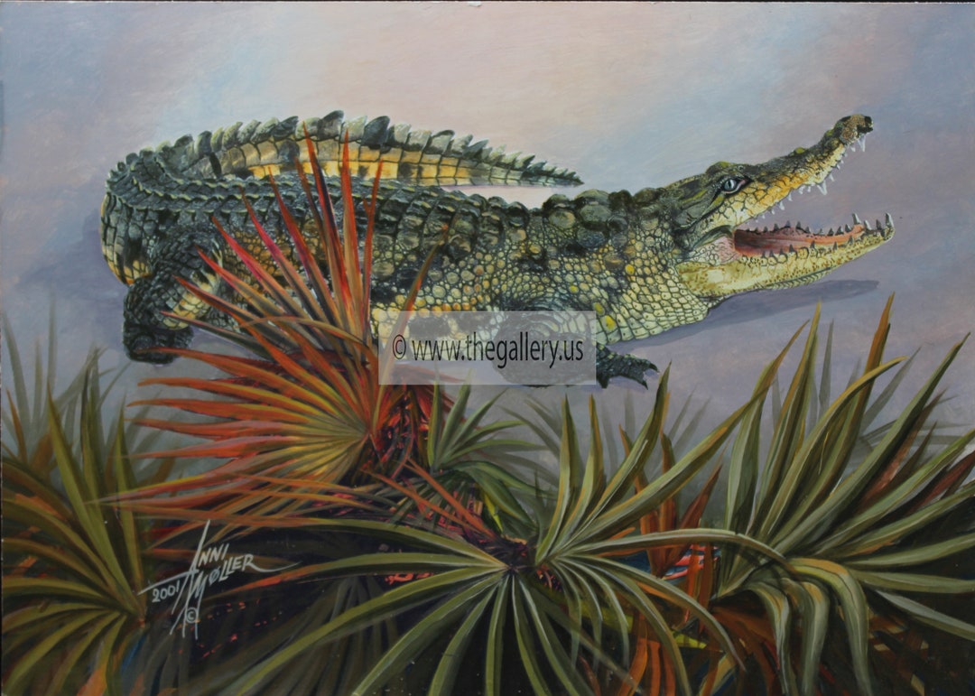 Florida Gators Original Painting by Anni Moller - Etsy