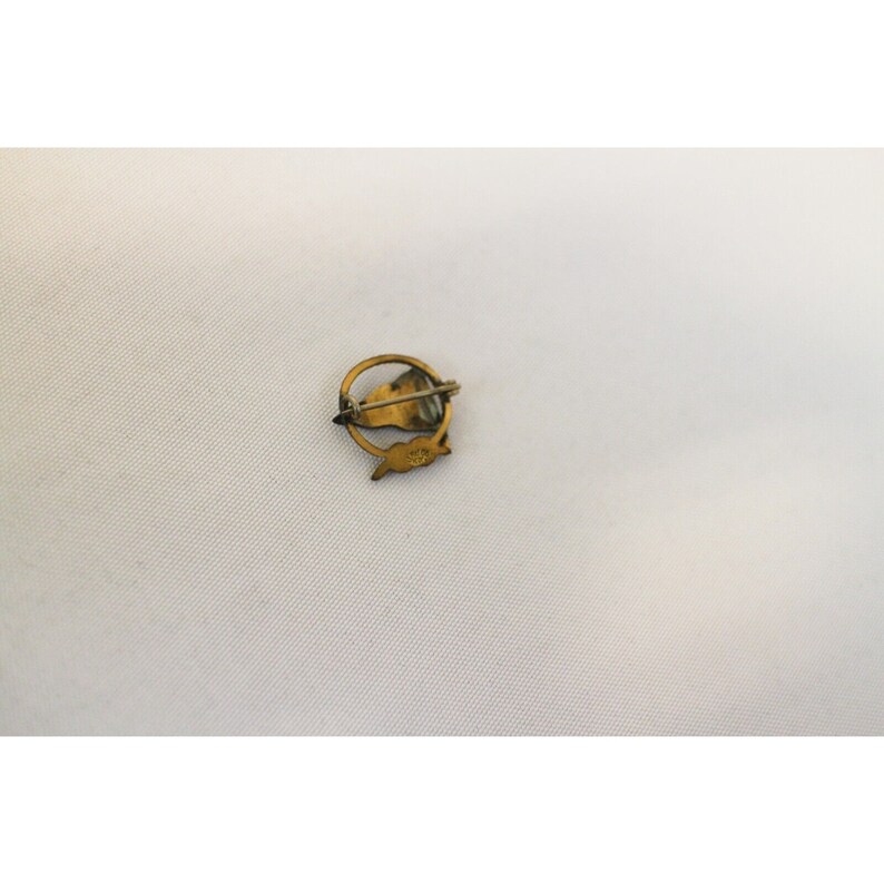 Vtg American Canoe Association Lapel Pin Canoeing ACA Logo - Etsy Australia