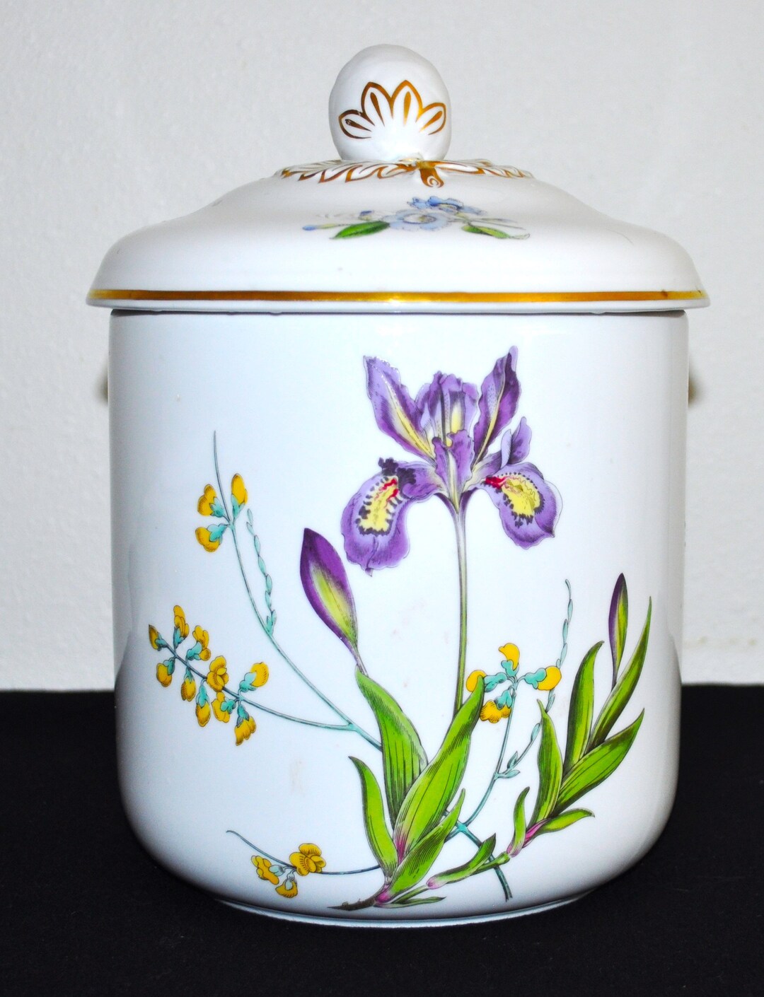 Spode Copeland "stafford Flowers" Large Iris and Daffodil Canister ...