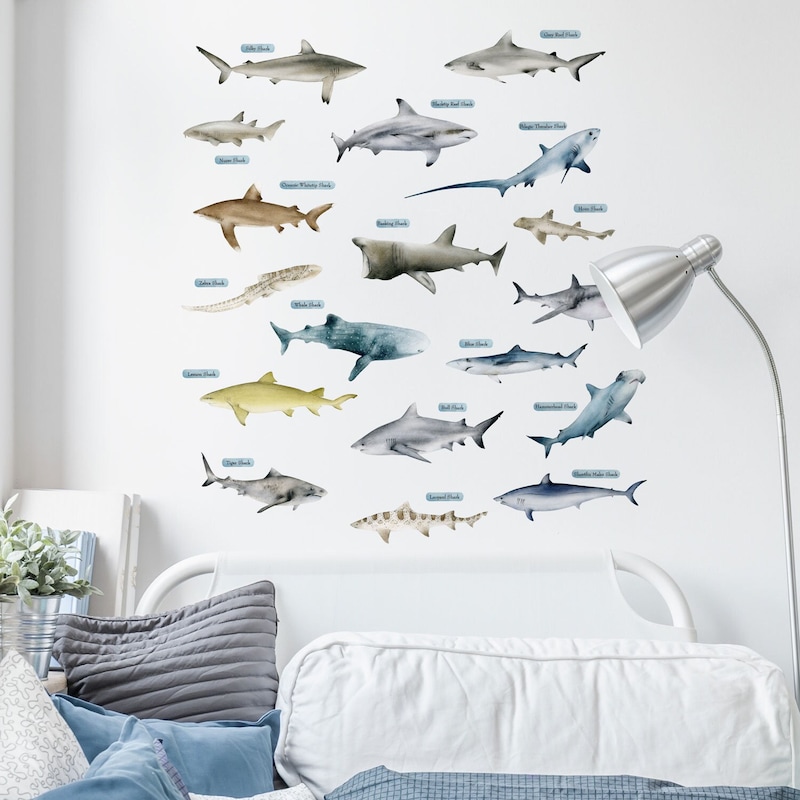 Shark Wall Sticker - Etsy