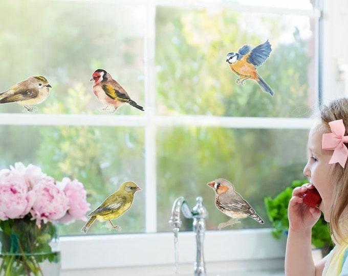 Bird Window Stickers Bird Window Decoration Spring Window - Etsy