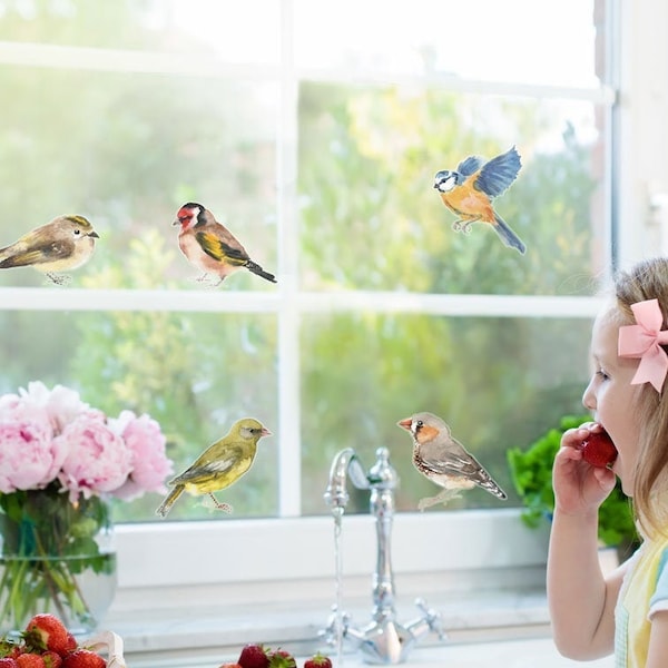 Bird Window Sticker - Etsy UK