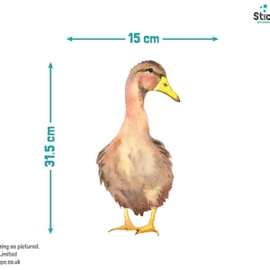 Duck Window Stickers, Duck Window Decal, Spring Duck Window Sticker ...