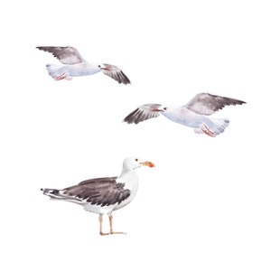 Seagull Window Stickers, Seagull Window Decoration, Seagull Window ...