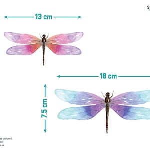 Dragonfly Window Stickers, Dragonfly Window Decoration, Anti-collision ...